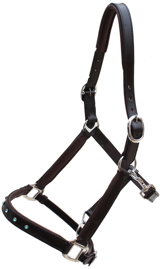 Leather Padded Show Halter w/ Turquoise Rhinestones 805LH01 — Challenger